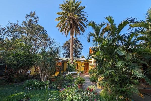Chalet La Llovizna - Lush Hidden Paradise With Jacuzzi And Free Parking - Guatemala