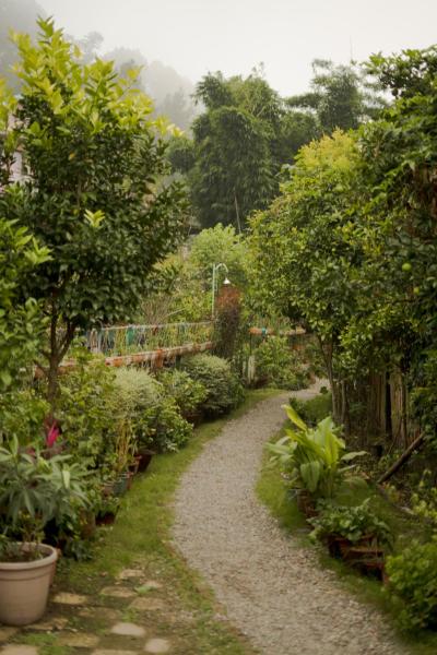 Stay With Nature At Cottages At Village Naukuchiatal Nainital - Naukuchia Taal