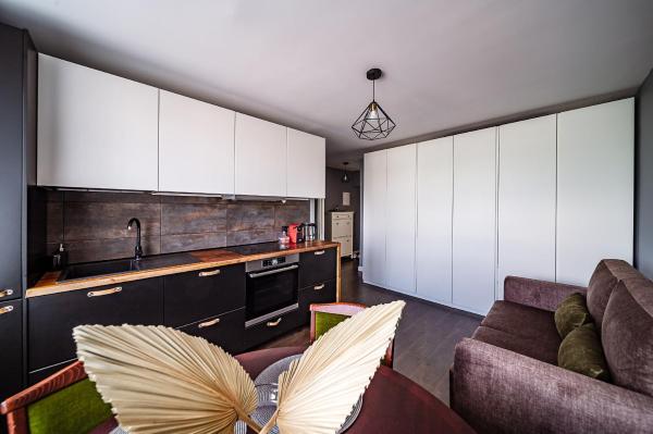 Urban Oasis Apartments - 立陶宛