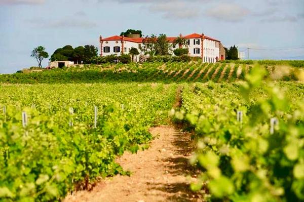 Château Au Milieu Du Vignoble Avec Piscine à 10 Mn Des Plages - Perpignan