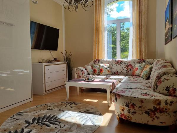 Ferienwohnung Fürst Metternich In Bad Elster - Bad Elster