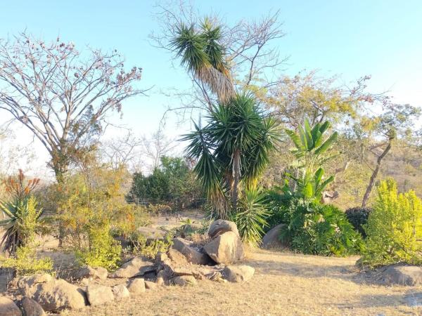 The Sanctuary- Self Catering Accommodation - Dwaleni
