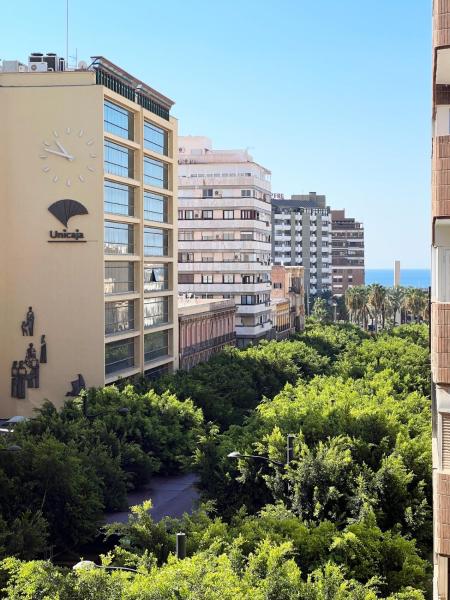 At Paseo Ficus Centenario - Almería