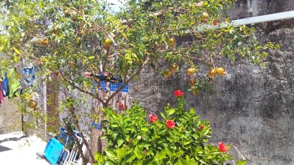 Quarto Com Banheiro Ar Condicionado Familiar - Peruíbe