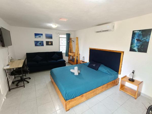 Studios Yaxkin, Located In Downtown - Cozumel