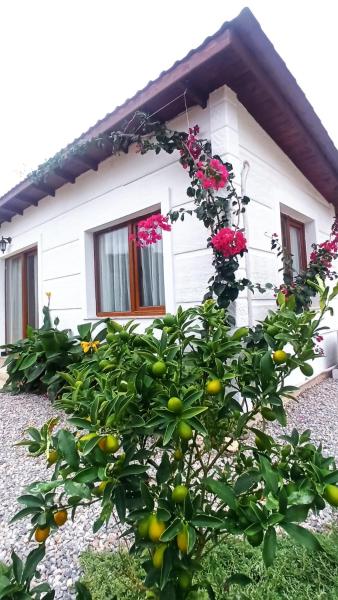 Kavurlukoz Butik Apart - Karaburun