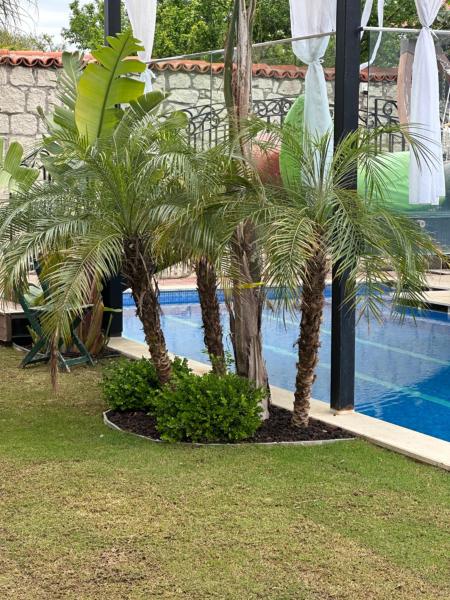 Grand Alaçatı Butik Hotel - Ildır