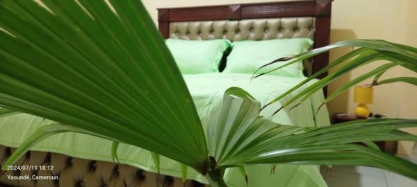 Afrieurotext Kamerun-high Standing-appartements-wifi-security-restaurant-modern Kitchen - Yaundé
