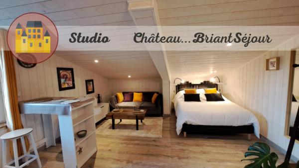 Studio-centre Ville - Châteaubriant