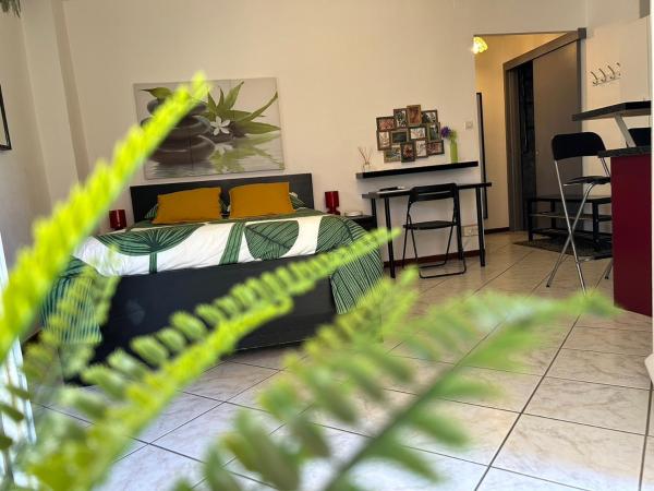 Studio Cosy & Zen Hyères Centre - Pierrefeu-du-Var