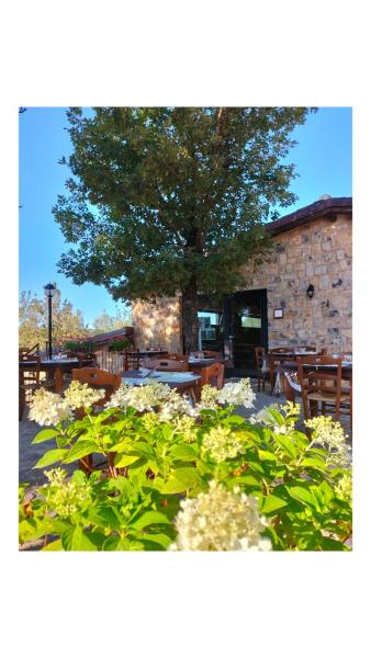Il Sogno Di Teresa - Camerota