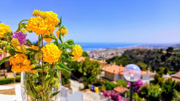 Mirador - Appartamento Con Vista Panoramica - Grottammare
