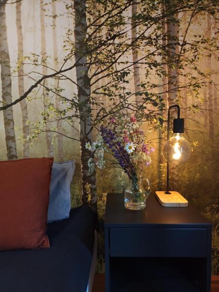 Skålsjögården Timber Lodge - Sweden