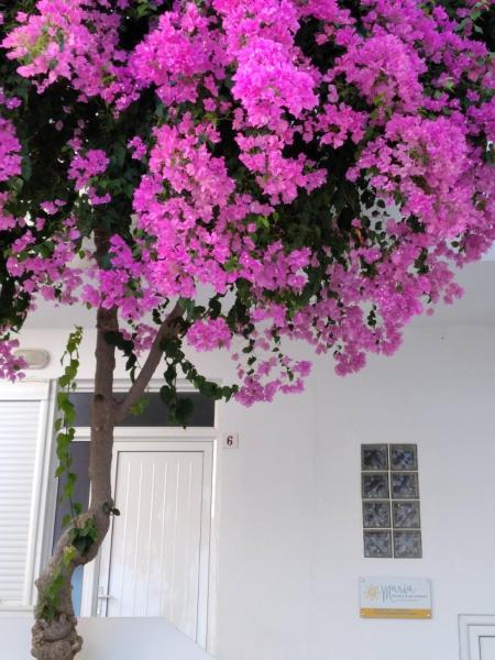 Maria Studios And Apartments - Rodos