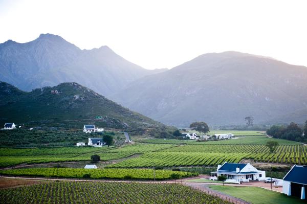 Orange Grove - Robertson