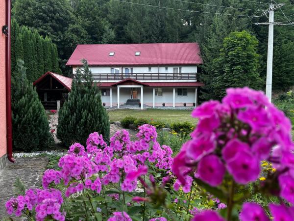 Vacation Villa Sucevița - Putna