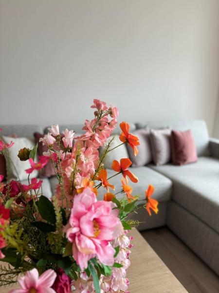 Siltzicht - Middelkerke