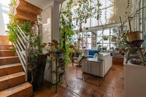Mrw Artist's Atelier Orchid Oasis 3br House - Mexico Distrito Federal