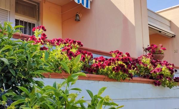 Sea View Apartment Villarosa - Martinsicuro