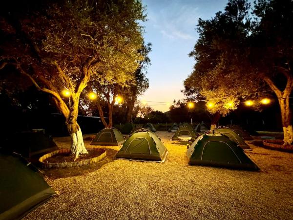 Ivy Sol Camping - Borsh