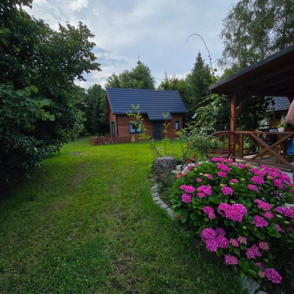 Borówkowa Agroturystyka Nad Morzem - Darłowo
