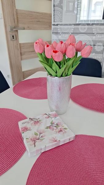 Apart 20 - Špindlerův Mlýn