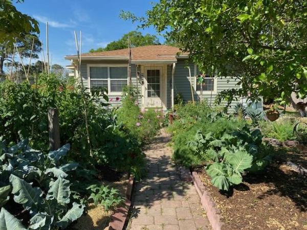 Ida's Garden - Florida