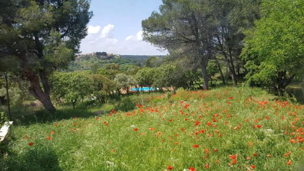 Appartement Dans Mas Avec Piscine Privée Sans Vis A Vis - Fos-sur-Mer