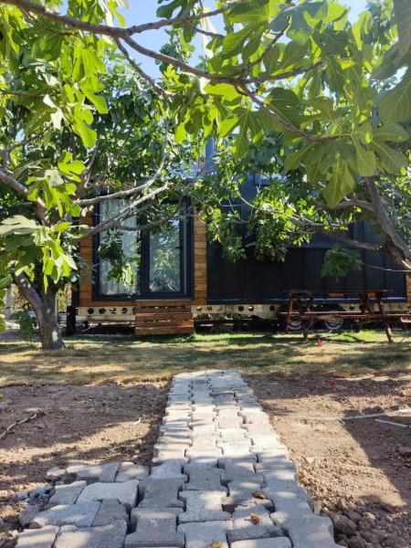 Dikili Zeytiny House - Dikili