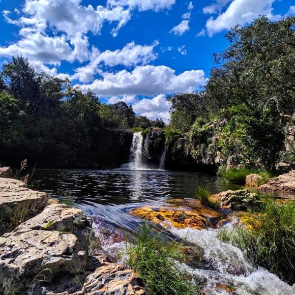 Portal Beija-flor - Goiás (estado)