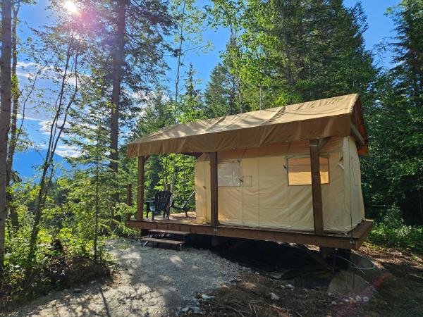 Zest Campers Ltd - Golden