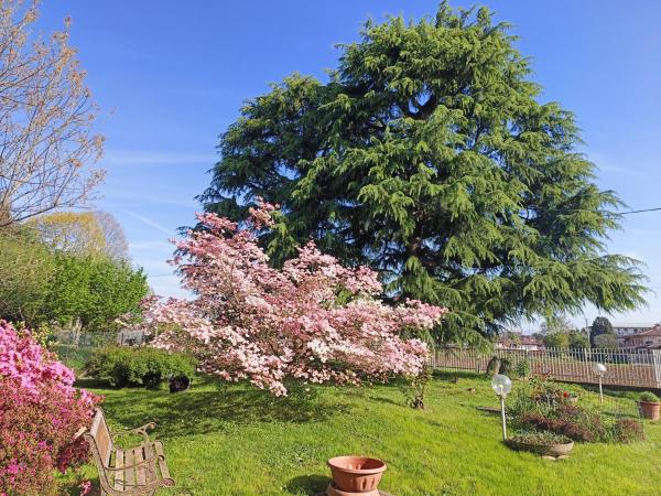 B&b Il Melograno - Saronno