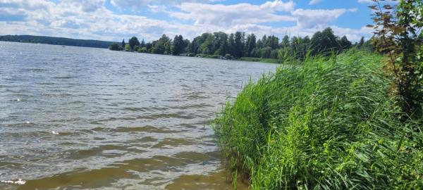 Gemütlicher Wohnwagen Naturnah Beim Schweriner See 20 Minuten Von Berlin - Brandenburg