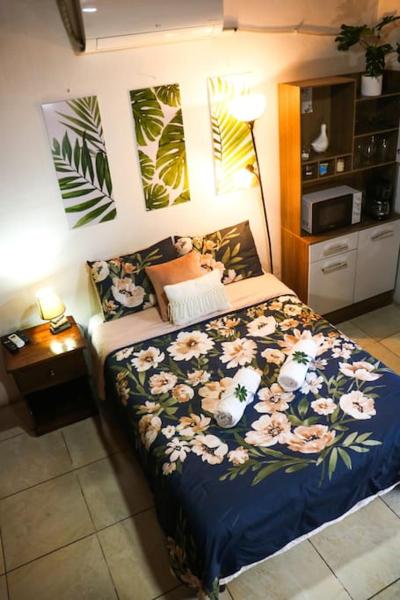 Amelia Inn Apartment - Managua