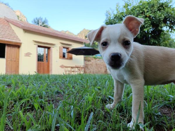 Capocampo Amalfi Coast - Tramonti