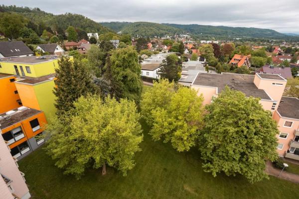 Harzhorst - Bad Harzburg