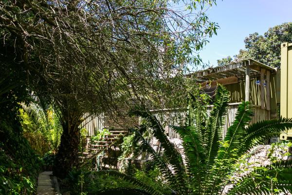 Camps Bay Forest Pods - Camps Bay