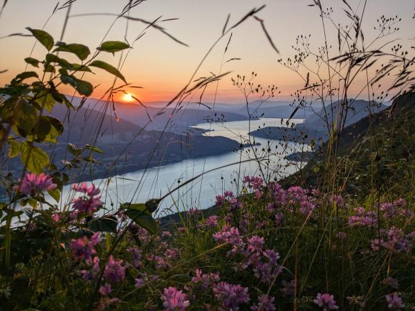 The Mountain Nest - Duingt