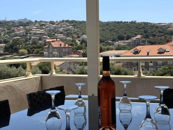 Joli T2 Idéalement Situé - Propriano