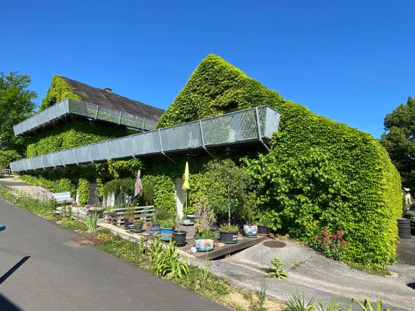 Wohnen Zwischen Therme Und Golf - Bad Waltersdorf