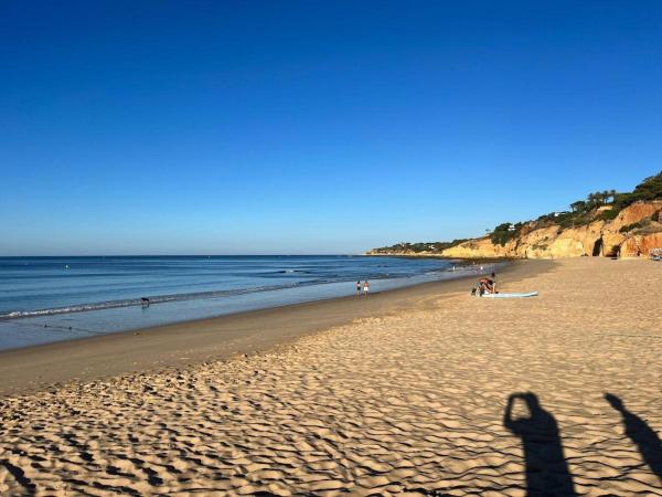 Sunshine Guesthouses In Azeitao And Algarve - Palmela