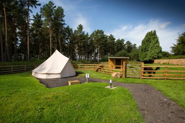 Tent 2 - Northumberland