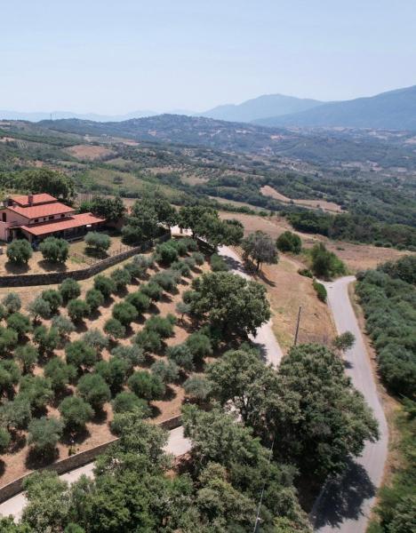 Tenuta Raimo - Italy