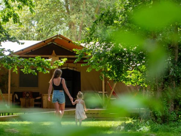 Ecolodges De Dreef - Scharendijke