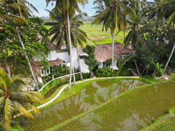 Fall In Love With Rose Moon - Bali