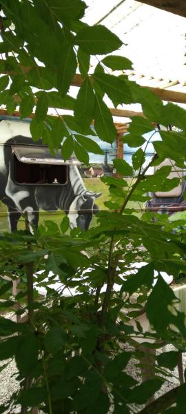 Ferme Pedagogique Des Pennetieres - Loiret