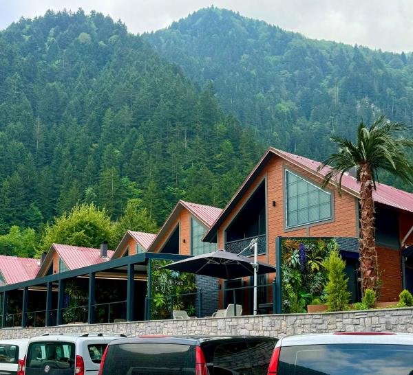 Uzungol Ada Bungalow - Rize
