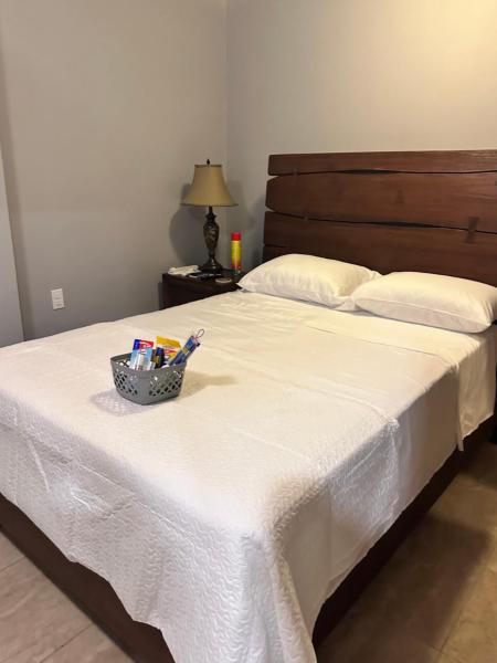 Arapaima Apartments - Guyana