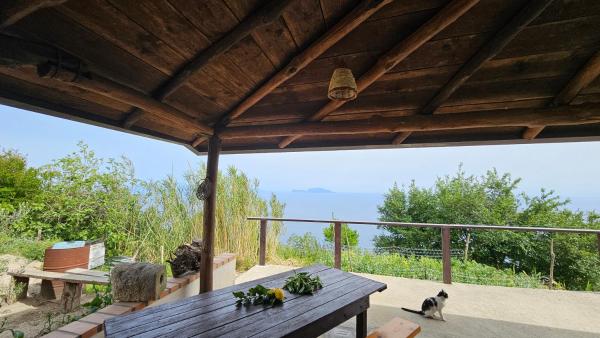 Climb To Paradise Ischia - Solo Per Amanti Del Trekking - Procida