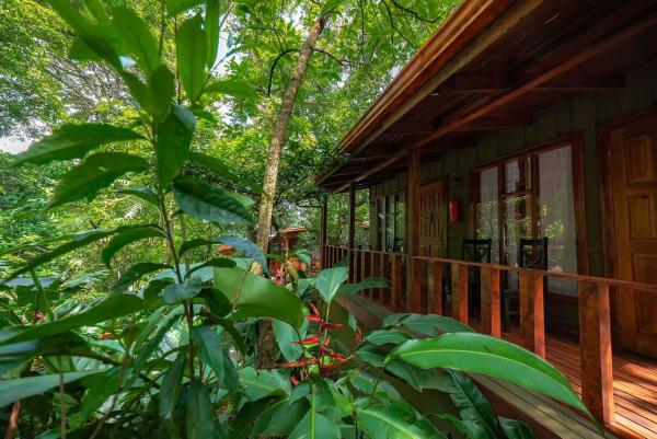 Jaguarundi Jungle Lodge - Costa Rica